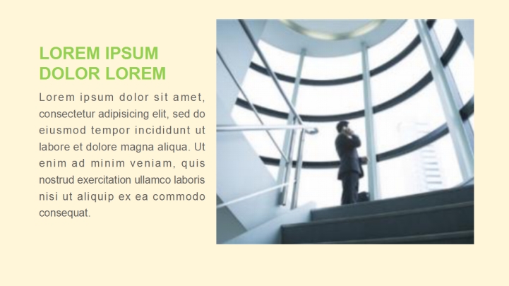 PPT of Brief Business Summary.pptx | WPS Free Templates